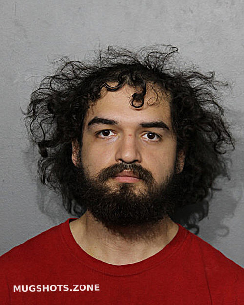 BRANDON ALBERT PECK 10/08/2024 - Chicago Mugshots Zone