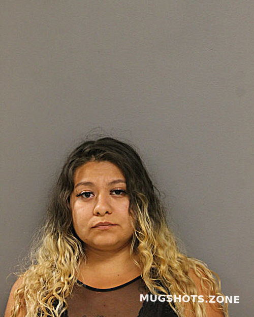 MEREDITH D HERNANDEZ 10/08/2024 - Chicago Mugshots Zone