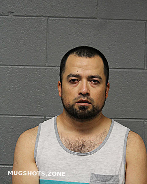 JOSE VALENTIN TREJO VILLAGRANA 10/13/2024 - Chicago Mugshots Zone