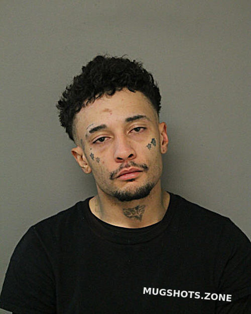 JUSTIN J TURLEY 10/17/2024 - Chicago Mugshots Zone