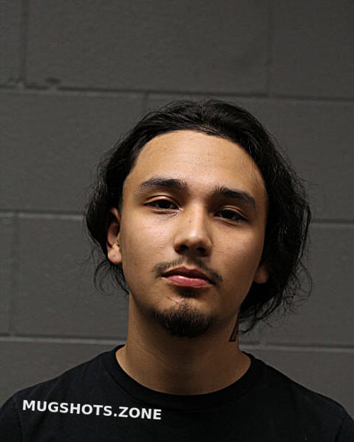CRISTIAN JESUS RAMIREZ 10/19/2024 - Chicago Mugshots Zone