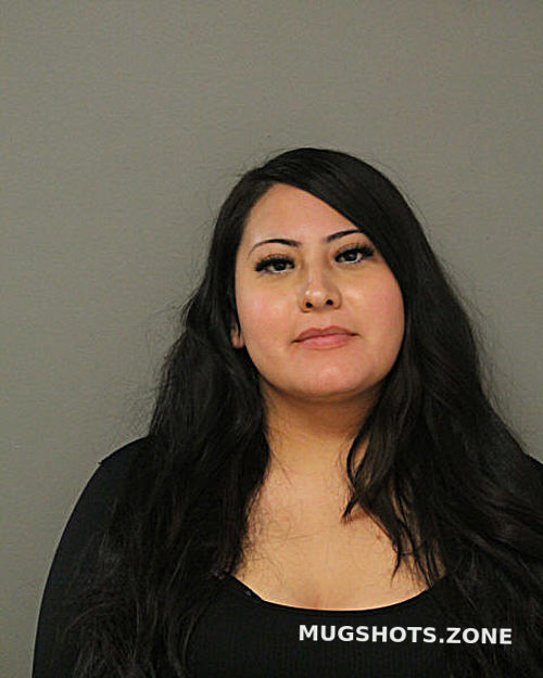 ADILENE HERNANDEZ 10/19/2024 - Chicago Mugshots Zone