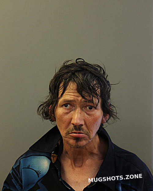 RAYMOND C HAMILTON 10/19/2024 - Chicago Mugshots Zone