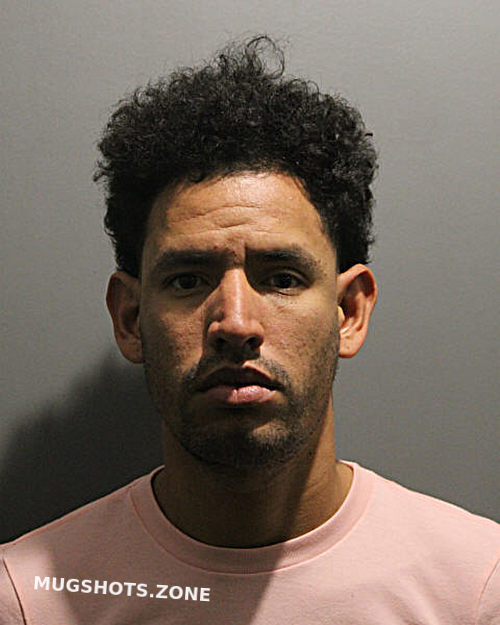 EULICES WLADIMIR BOLIVAR-MORENO 10/20/2024 - Chicago Mugshots Zone
