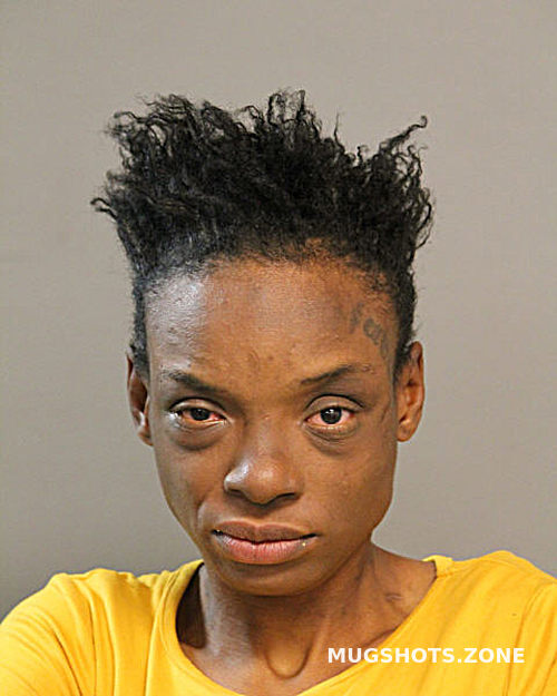 JOHNETTA R SMITH 10/22/2024 - Chicago Mugshots Zone