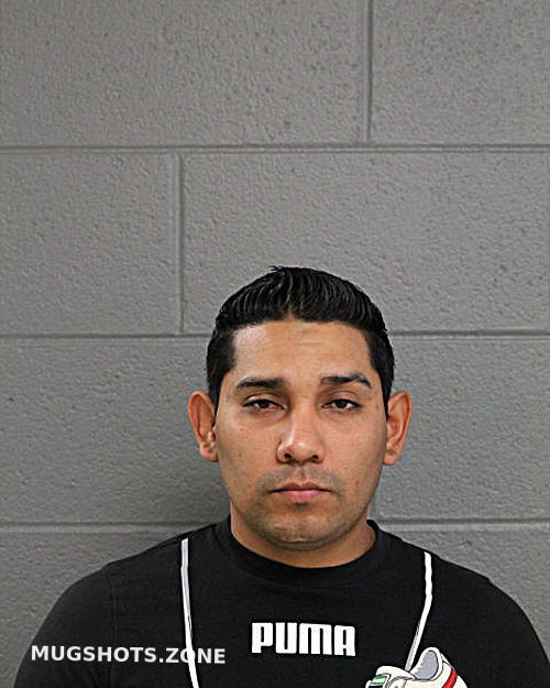 YEITHSON F RODRIGUEZ-MOLINA 10/23/2024 - Chicago Mugshots Zone