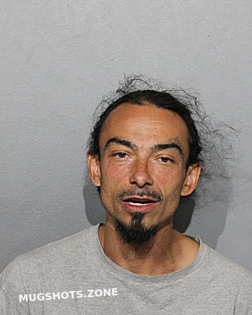 ADAM FRANCO 10/25/2024 - Chicago Mugshots Zone