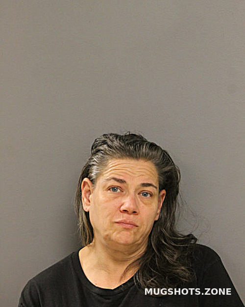 ALYSON M CARLSEN 10/28/2024 - Chicago Mugshots Zone