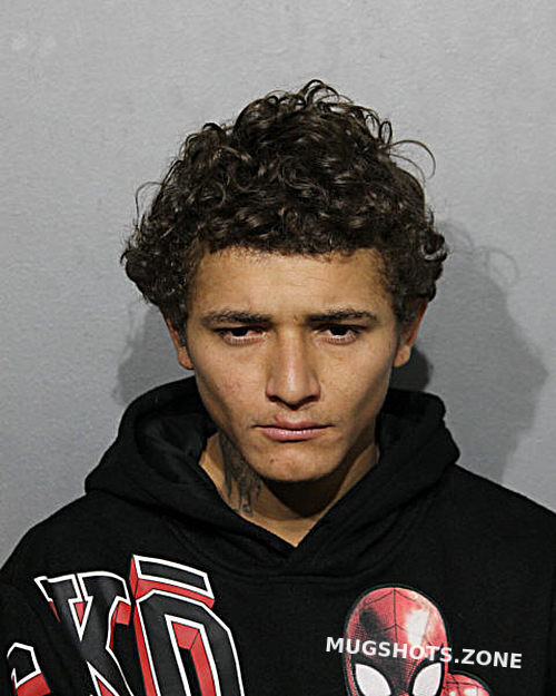 JOSE ANTONIO SANCHEZ-OLENO 10/29/2024 - Chicago Mugshots Zone JOSE ANTONIO SANCHEZ-OLENO 10/29/2024 - Chicago Mugshots Zone