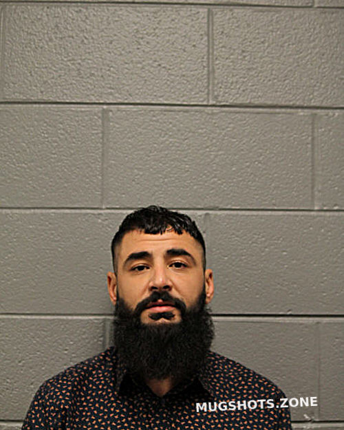 TAMER REFAIE 10/30/2024 - Chicago Mugshots Zone