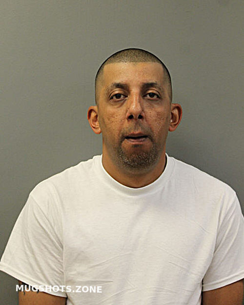 PETER MILLER 10/31/2024 - Chicago Mugshots Zone