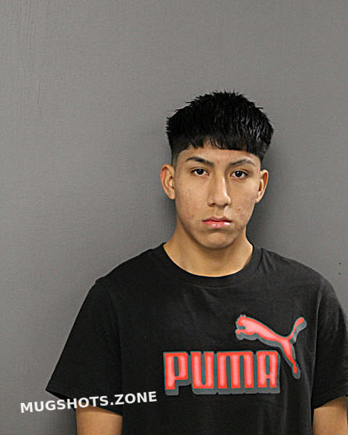 ALEX ROLANDINO ROLDAN GUASHPA 10/31/2024 - Chicago Mugshots Zone