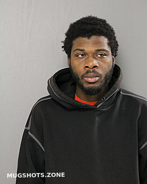 DEVANTE WHITE 11/03/2024 - Chicago Mugshots Zone
