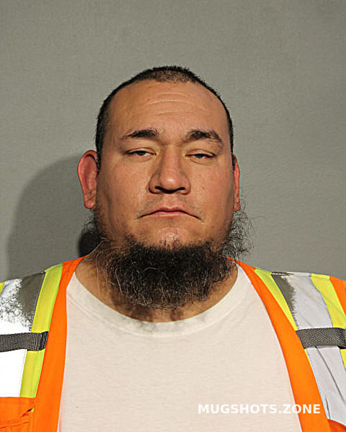 ARIEL ROMAN 11/03/2024 - Chicago Mugshots Zone