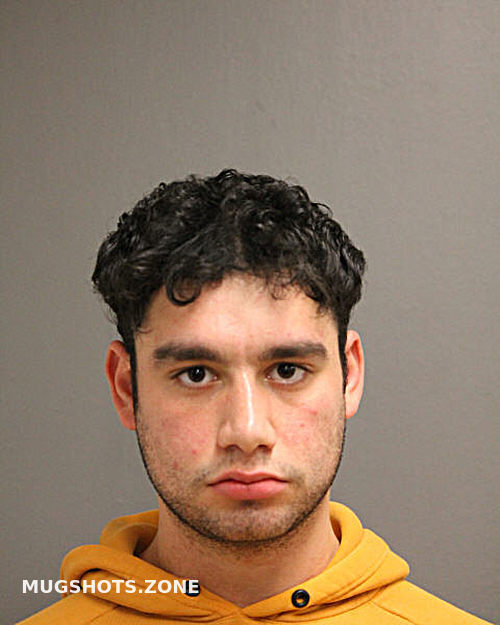 BRANDON PUCHOWITZ 11/06/2024 - Chicago Mugshots Zone