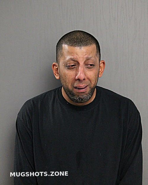 PETER MILLER 11/07/2024 - Chicago Mugshots Zone