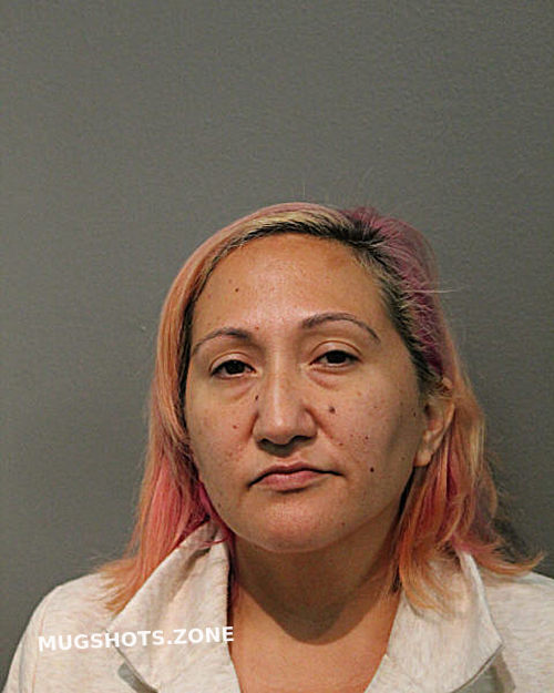 STACEY L HARVEY 11/07/2024 - Chicago Mugshots Zone