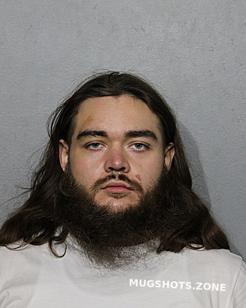 ALEXANDER G ADAMS 11/08/2024 - Chicago Mugshots Zone