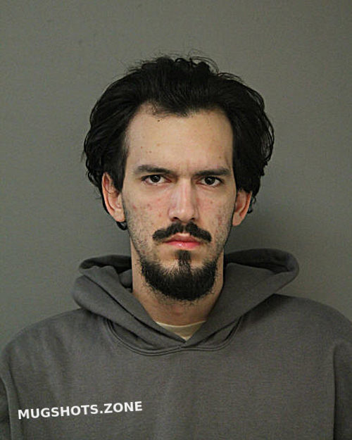 MICHAEL A MARKESE 11/08/2024 - Chicago Mugshots Zone