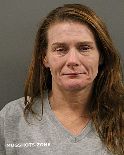 TRACEY A FELLOWS 11/09/2024 - Chicago Mugshots Zone