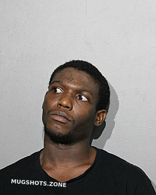 MICHAEL R WILSON 11/10/2024 - Chicago Mugshots Zone