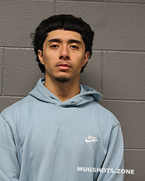 JESSE LEON 11/10/2024 - Chicago Mugshots Zone