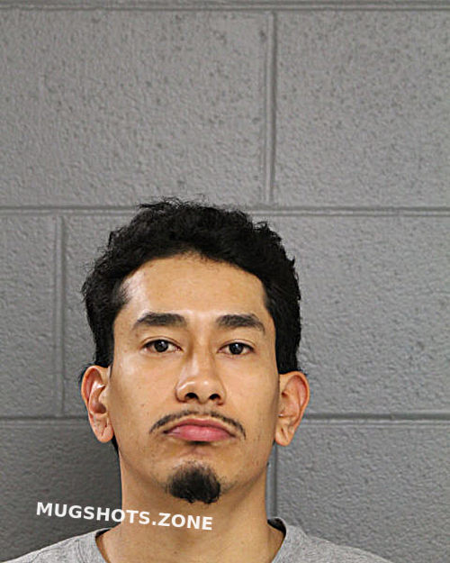 FERNANDO GOMEZ CHAVEZ 11/10/2024 - Chicago Mugshots Zone