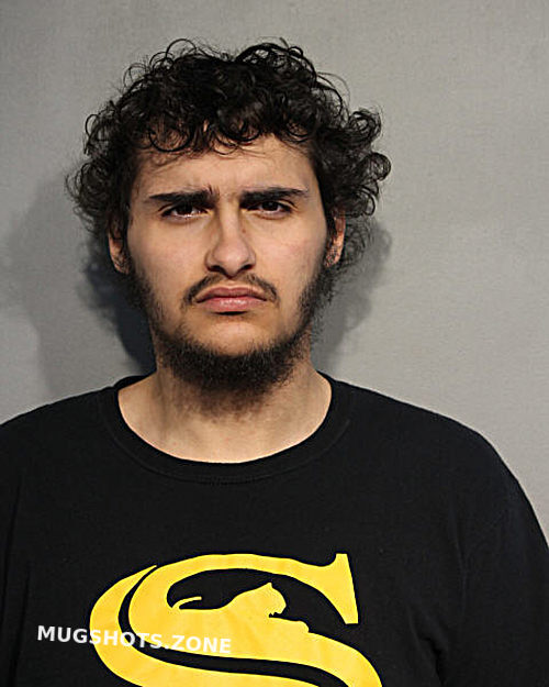 ROBERT PERAY 11/11/2024 - Chicago Mugshots Zone