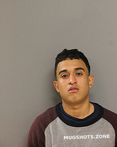 DEIKER-ALEJANDRO ALVAREZ-HERNANDEZ 11/13/2024 - Chicago Mugshots Zone