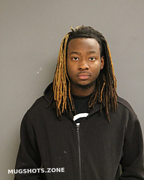 ALEXANDER L WILLIAMS 11/13/2024 - Chicago Mugshots Zone