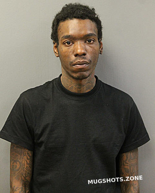 MICHAEL D BAKER 11/14/2024 - Chicago Mugshots Zone