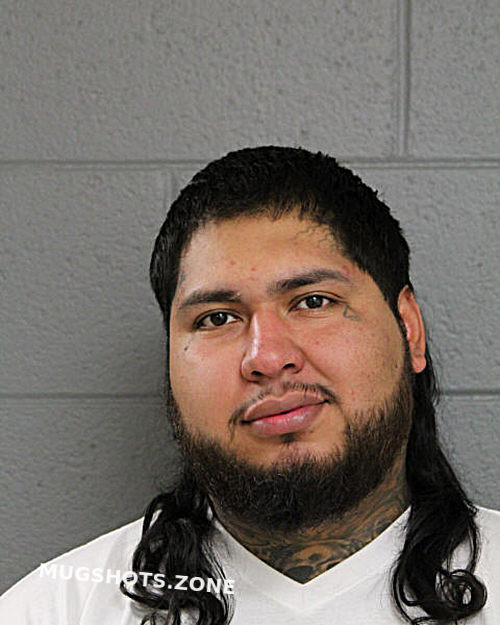 PAUL A PINA 11/15/2024 - Chicago Mugshots Zone PAUL A PINA 11/15/2024 - Chicago Mugshots Zone