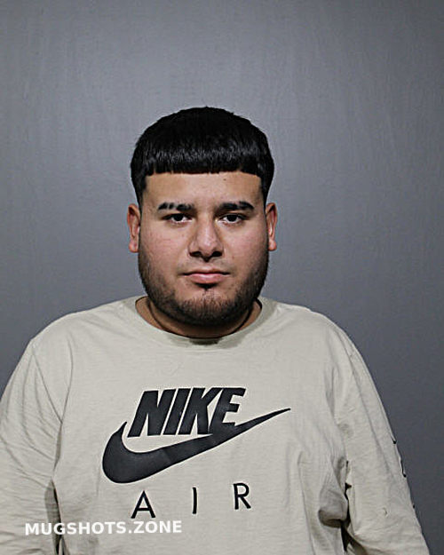 ROMY F RIVERA-FONSECA 11/15/2024 - Chicago Mugshots Zone