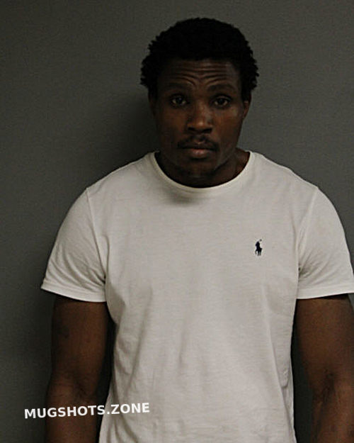 ROBERT L PRICE 11/15/2024 - Chicago Mugshots Zone