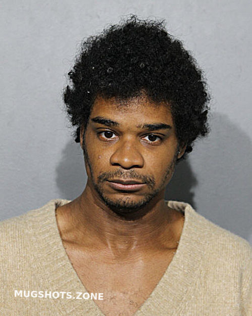 MARC JAMES 11/15/2024 - Chicago Mugshots Zone