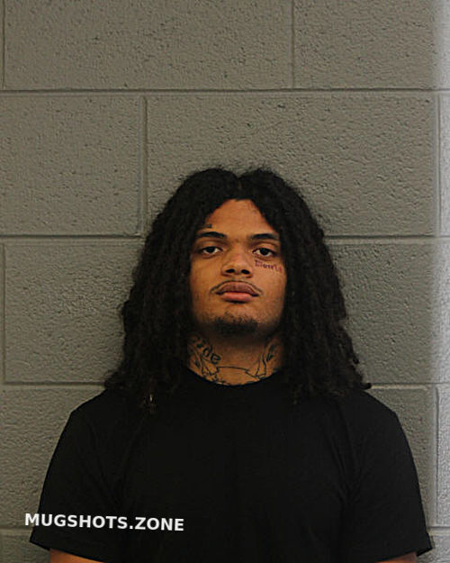 ERIC M BLOMGREN 11/16/2024 - Chicago Mugshots Zone