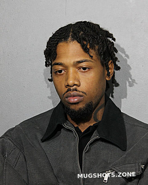 MICHAEL C R WILSON 11/16/2024 - Chicago Mugshots Zone