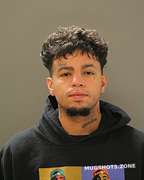 JOSELIN DE LA TORRE JR 11/16/2024 - Chicago Mugshots Zone