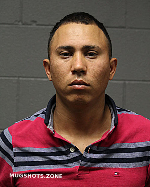 JOSE OCTAVIO MARTINEZ 11/18/2024 - Chicago Mugshots Zone