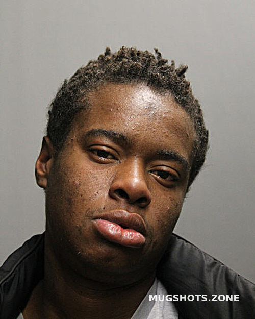 DIAMONDS Y THOMAS 11/19/2024 - Chicago Mugshots Zone