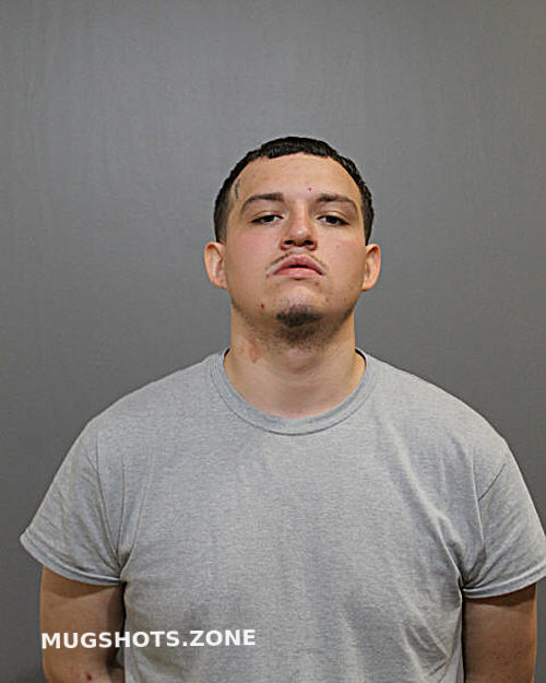 ALEXANDER J TAMEZ 11/19/2024 - Chicago Mugshots Zone