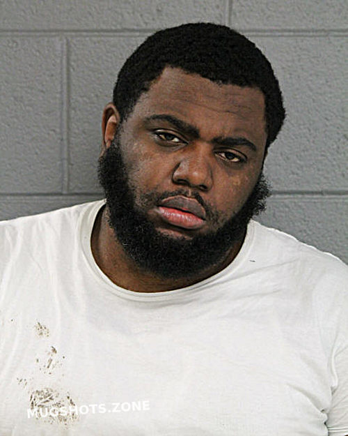 JAMIE MILLER 11/20/2024 - Chicago Mugshots Zone