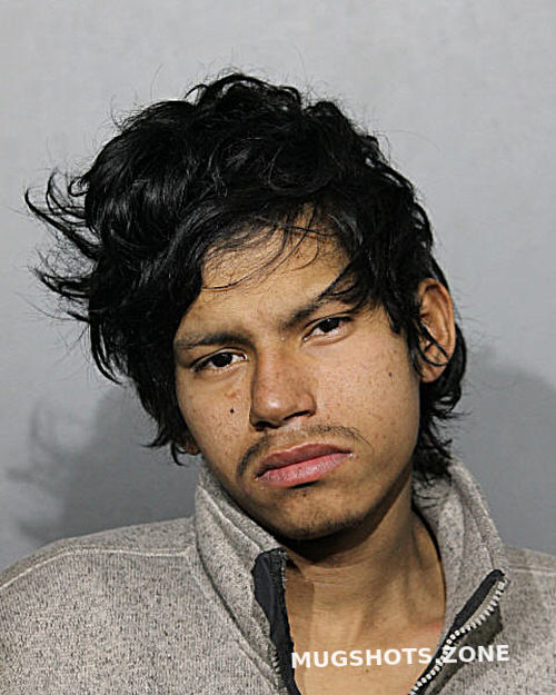 JOSE MARTINEZ 11/20/2024 - Chicago Mugshots Zone JOSE MARTINEZ 11/20/2024 - Chicago Mugshots Zone