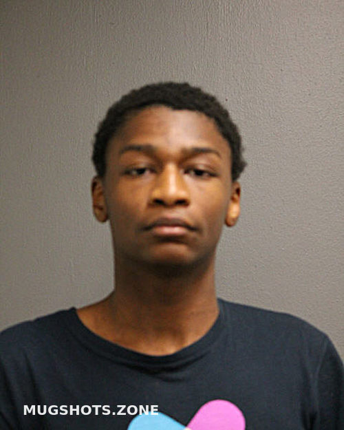 JOSHUA D PALMER 11/21/2024 - Chicago Mugshots Zone