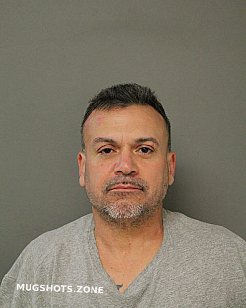 DAVID M GONZALEZ 11/21/2024 - Chicago Mugshots Zone
