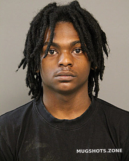 MICHAEL L NELSON 11/21/2024 - Chicago Mugshots Zone