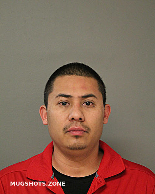 LUIS F TORRES 11/22/2024 - Chicago Mugshots Zone