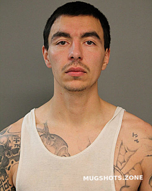 MICHAEL ANGELO SOPHER 11/22/2024 - Chicago Mugshots Zone