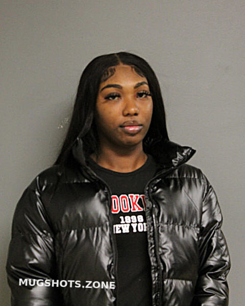 NIAGA D ROUSE 11/22/2024 - Chicago Mugshots Zone