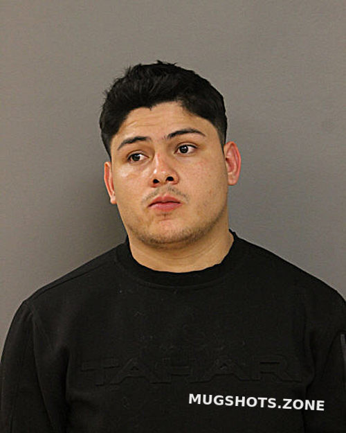 LUIS FERNANDO PEREZ RUIZ 11/22/2024 - Chicago Mugshots Zone